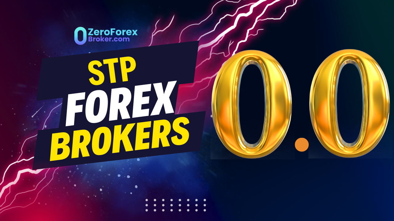 STP Forex Brokers: Your Guide to Transparent Trading 2024 Broker Judge