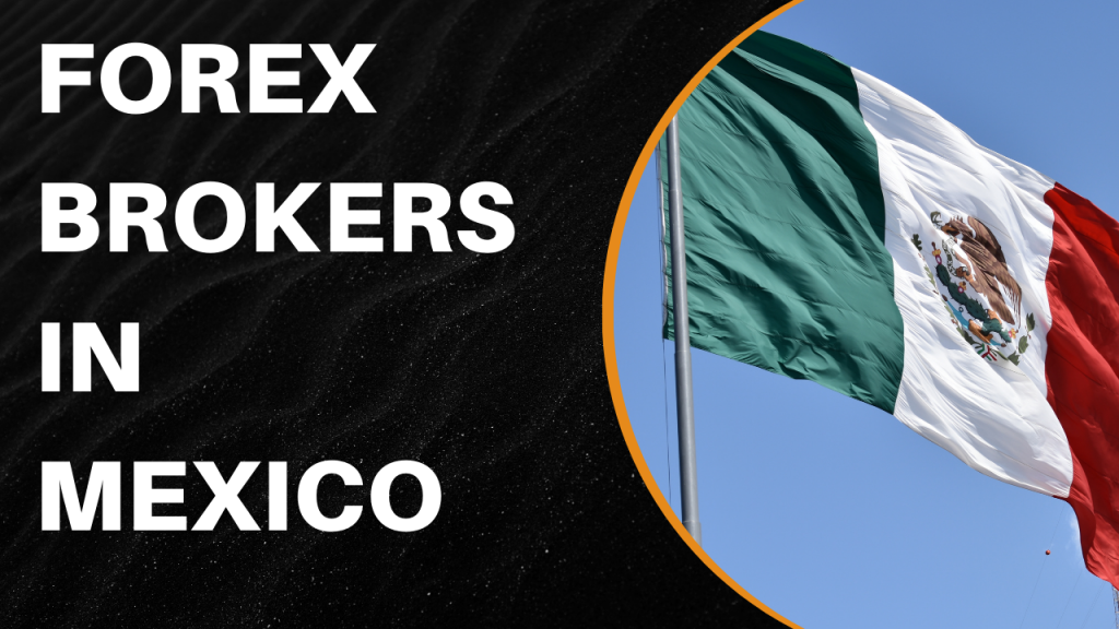 Exness Review 2024: A Comprehensive Evaluation Broker Judge